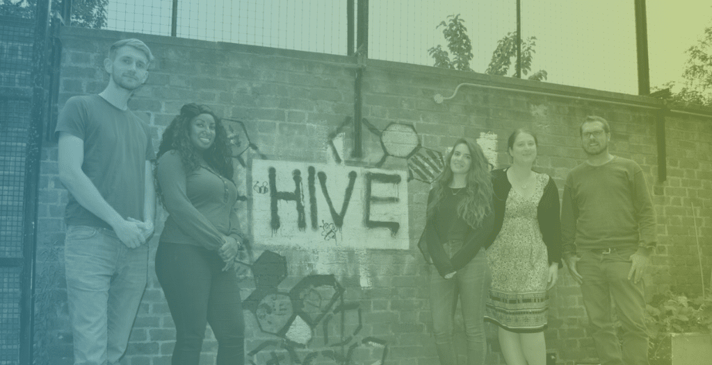 The Hive: where young people design their support and their service ...